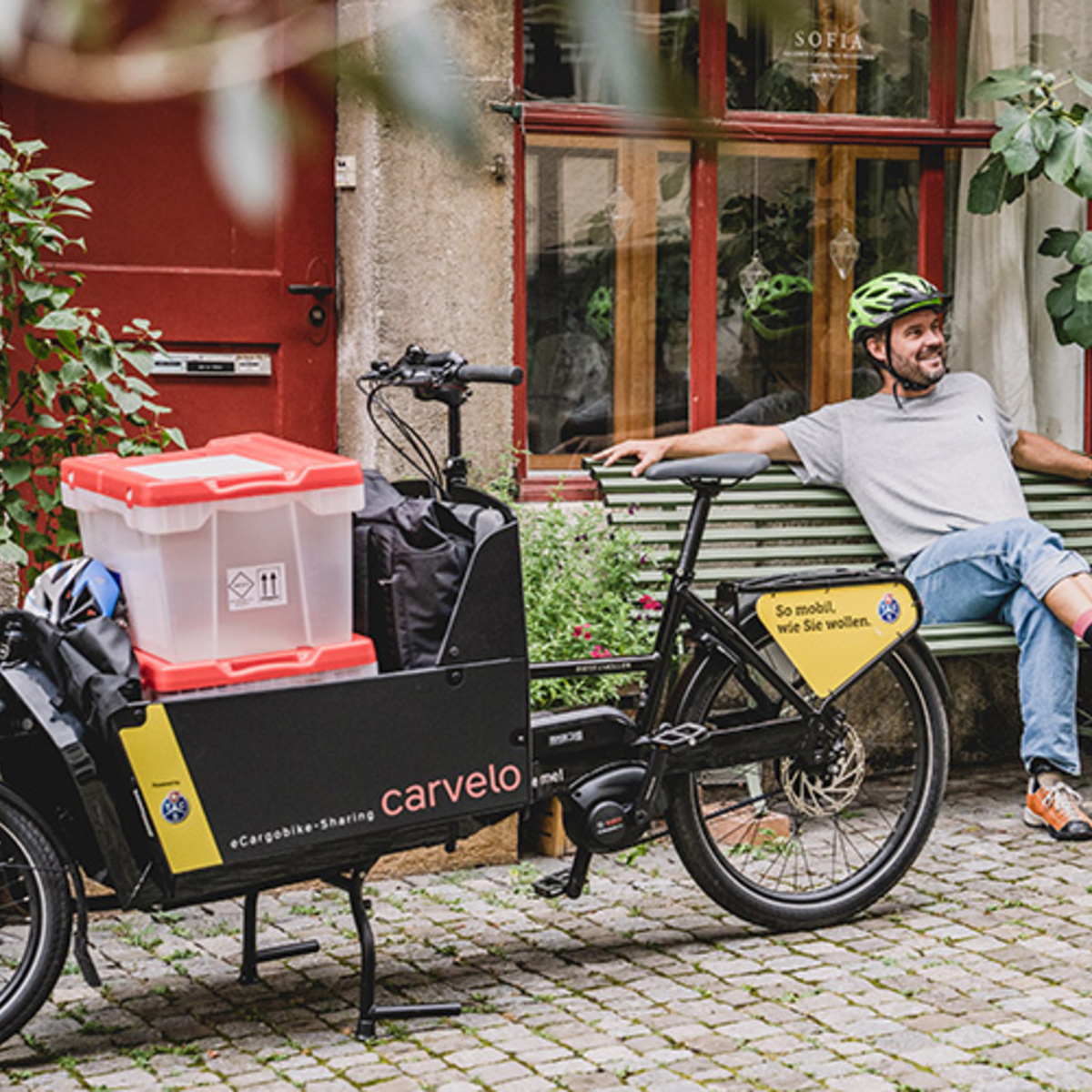 Carvelo Cargobike mieten